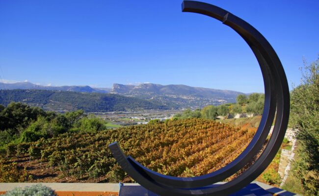 Bellet Il vino di festeggia 82 anni di AOC, imponendosi come una ...