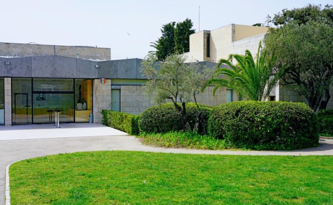 National Marc Chagall Museum: Four exceptional works enter the...