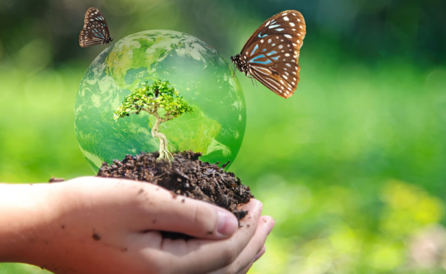 The Nature Week and the International Day for Biological Diversity ...