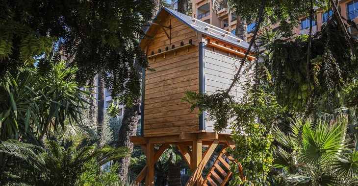 A Regulation Pigeon Loft for Harmonious Coexistence with Urban Wildlife ...